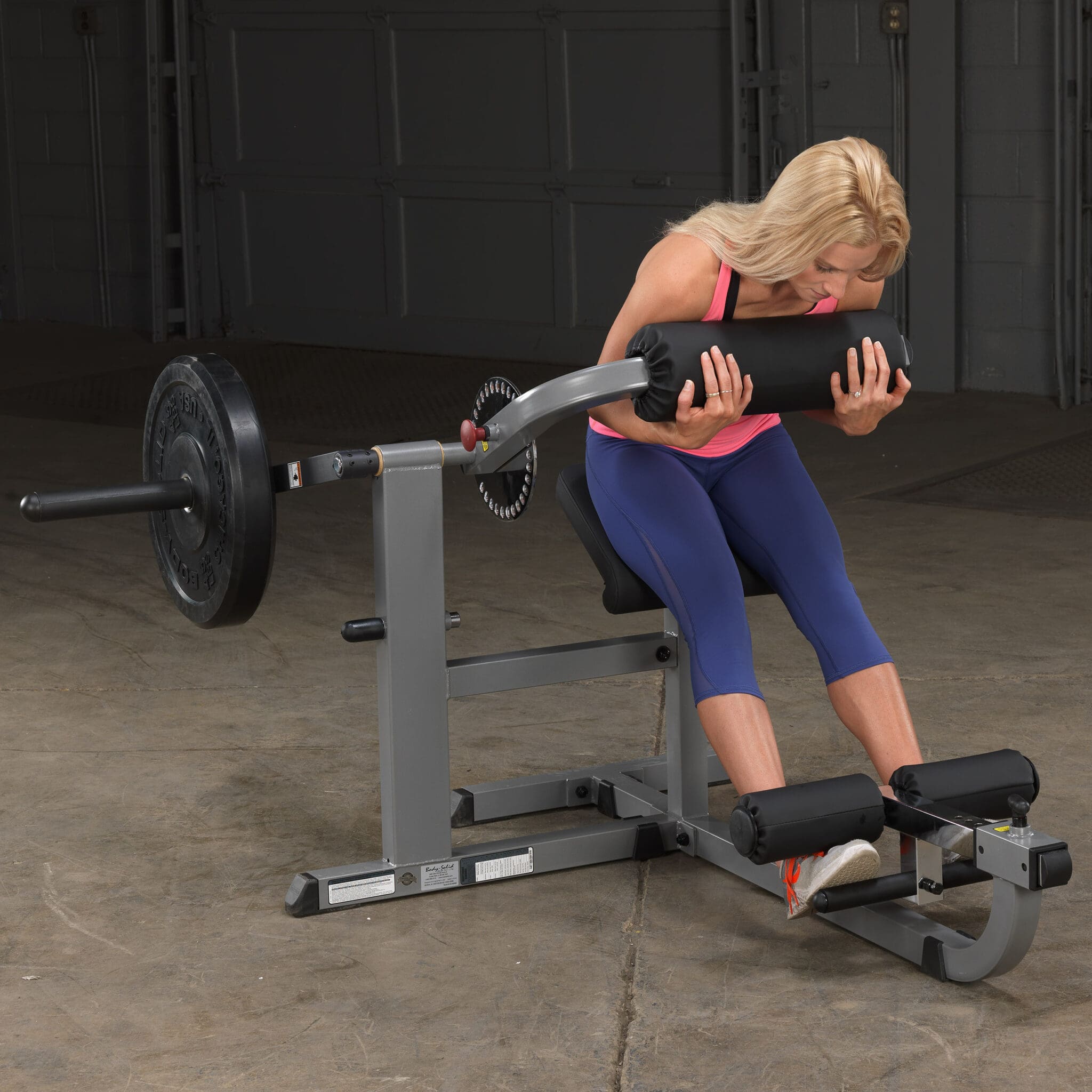 Body Solid Cam Series Ab and Back Machine - Fitness Equipment Store New ...